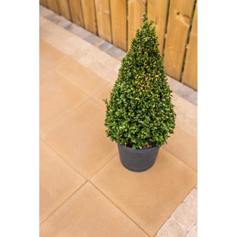 Home - Thistle Timber and Building Supplies